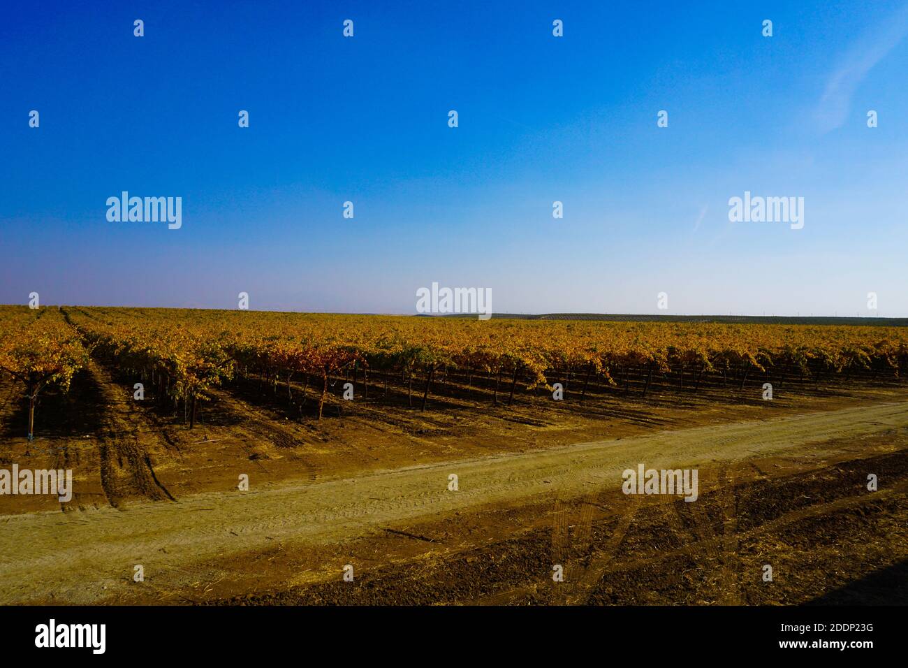 Agricoltura california immagini e fotografie stock ad alta risoluzione ...