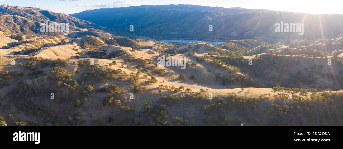 La luce del sole dorata splende sulle colline ondulate della California ...