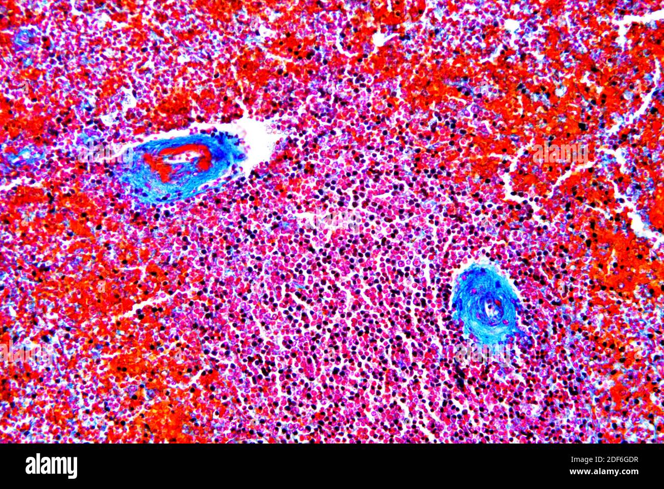 Uso normale immagini e fotografie stock ad alta risoluzione - Alamy