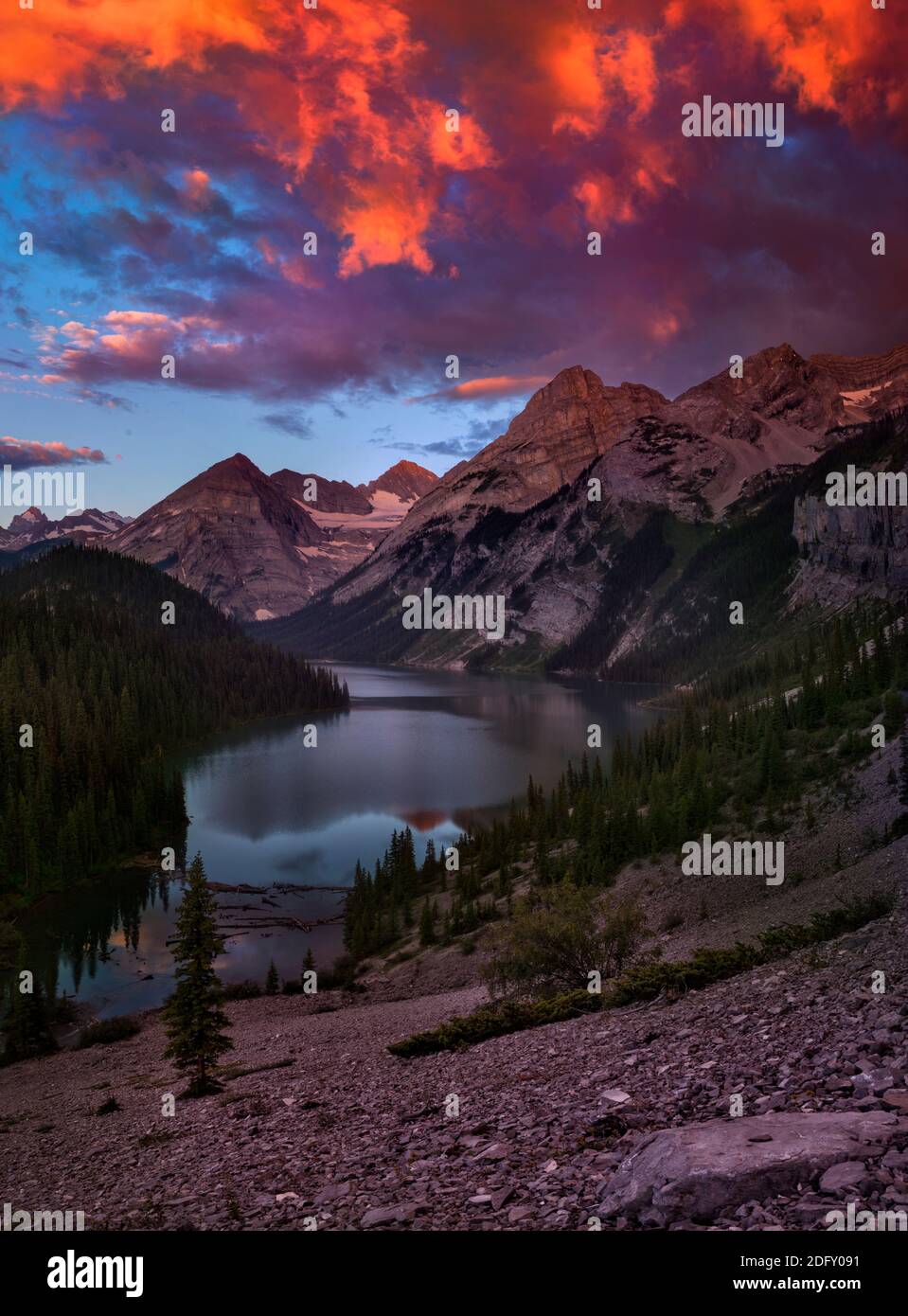 Lago degli alci immagini e fotografie stock ad alta risoluzione - Alamy