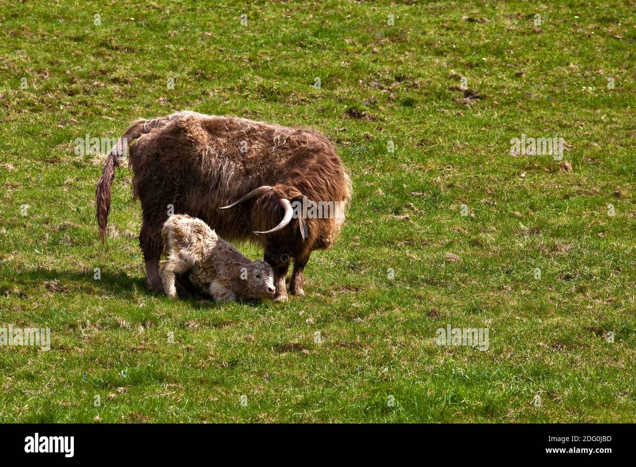 Ore tre immagini e fotografie stock ad alta risoluzione - Alamy