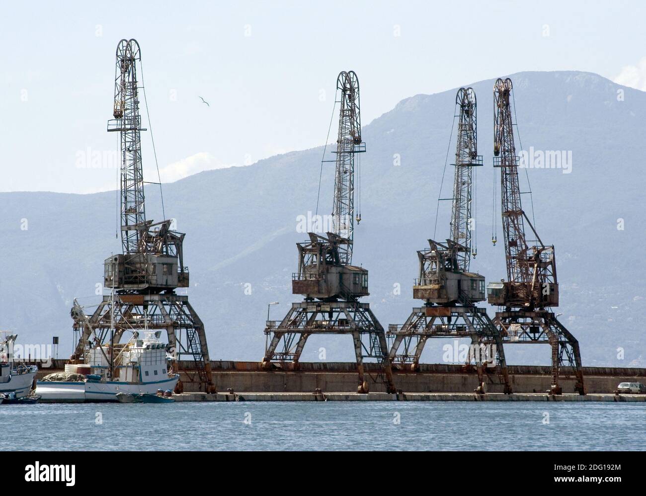 Gru del mondo immagini e fotografie stock ad alta risoluzione - Alamy