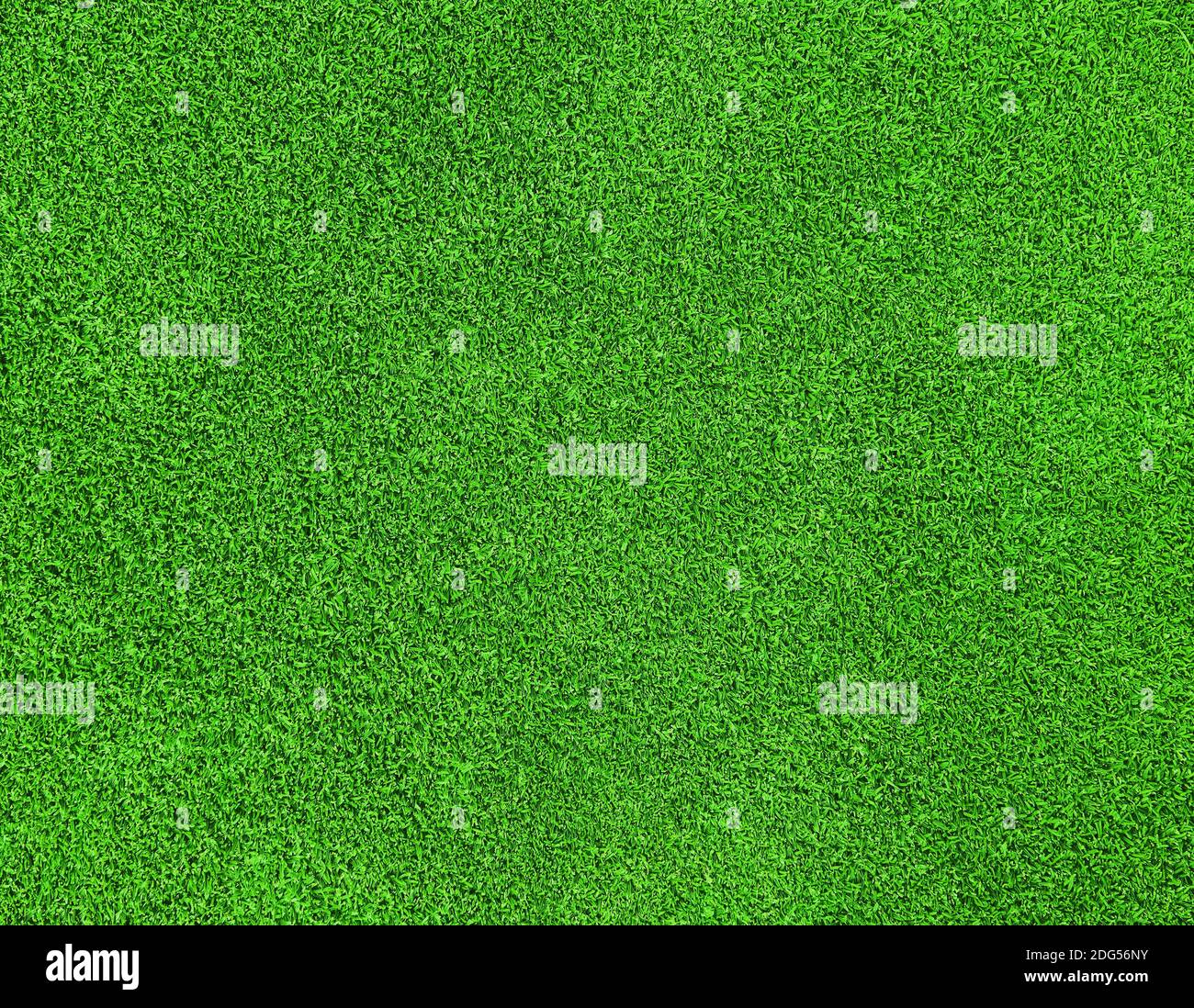 Green grass texture blades immagini e fotografie stock ad alta ...