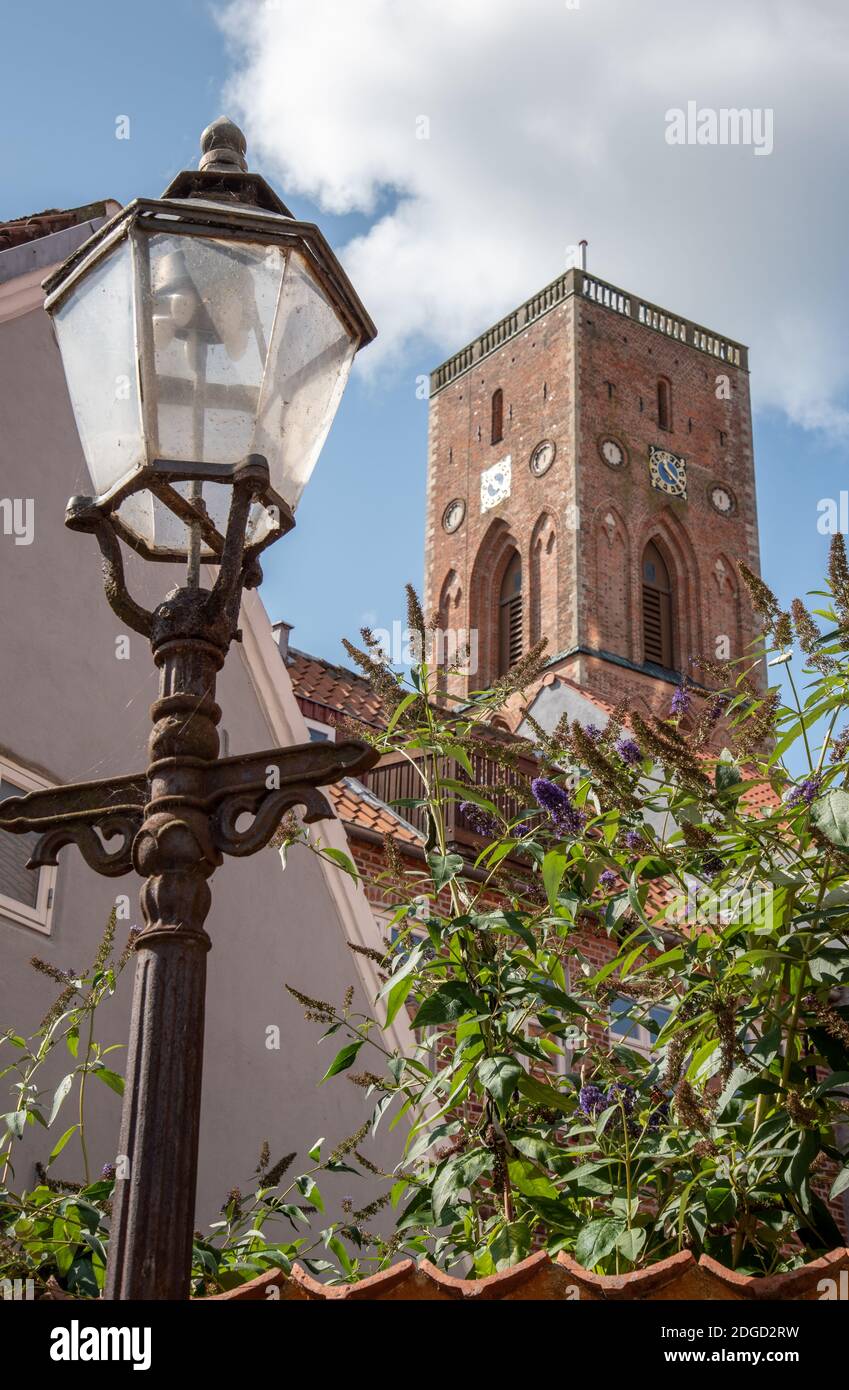 Ribe a immagini e fotografie stock ad alta risoluzione - Alamy