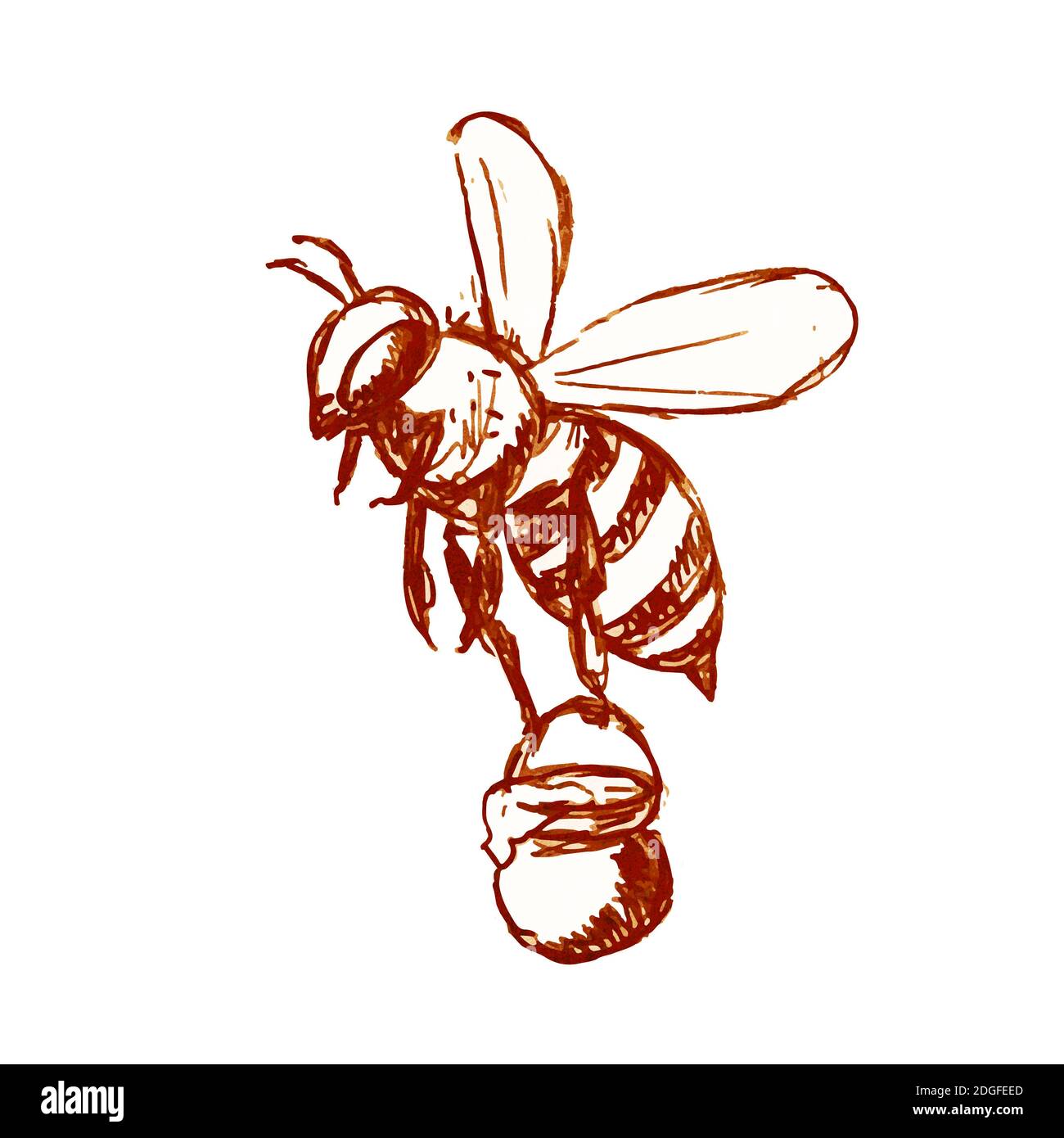 Miele Bee che trasporta la coda di disegno del miele bianco e nero Foto ...