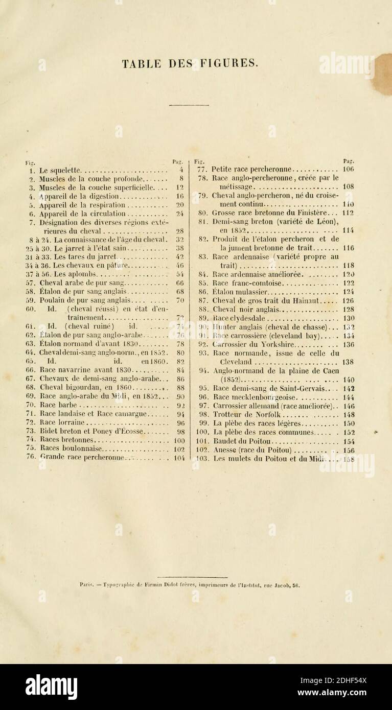 Tabla de figuras immagini e fotografie stock ad alta risoluzione - Alamy