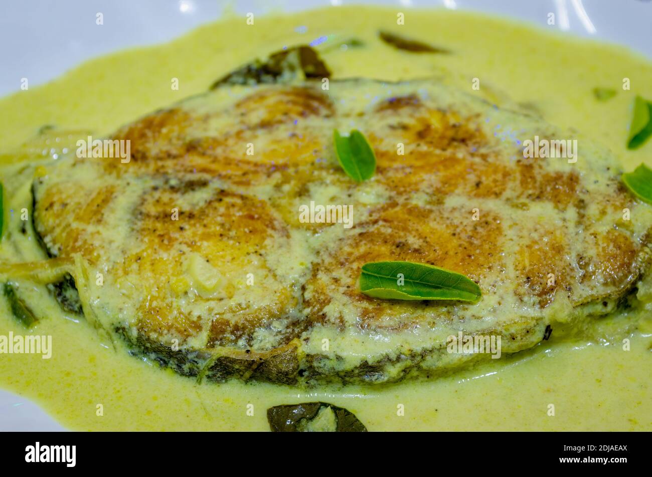 Pesce re del mare immagini e fotografie stock ad alta risoluzione - Alamy