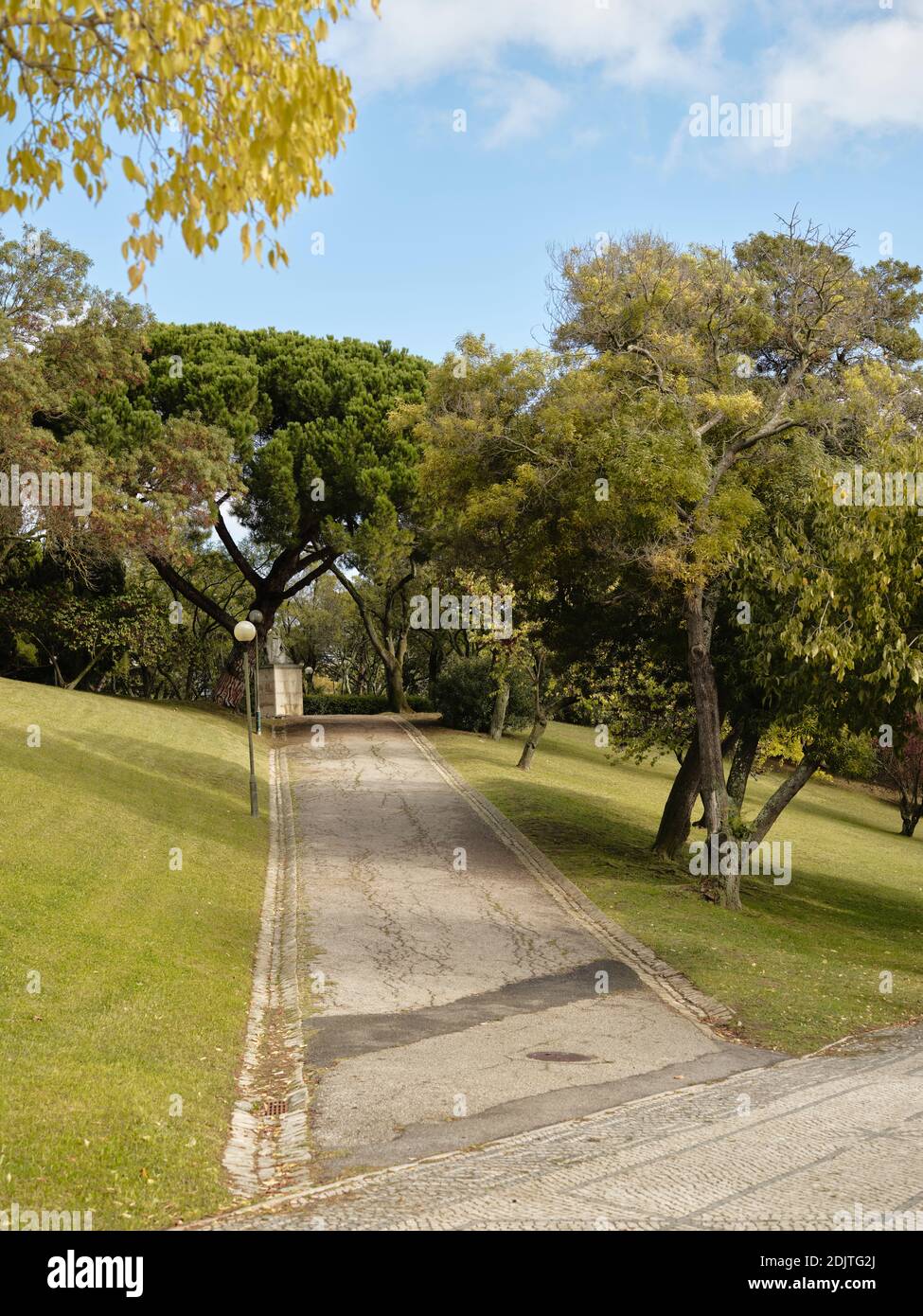 Lisbona alberata immagini e fotografie stock ad alta risoluzione - Alamy