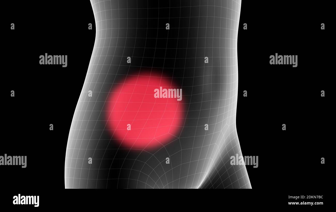 Anatomia del torace femminile immagini e fotografie stock ad alta ...