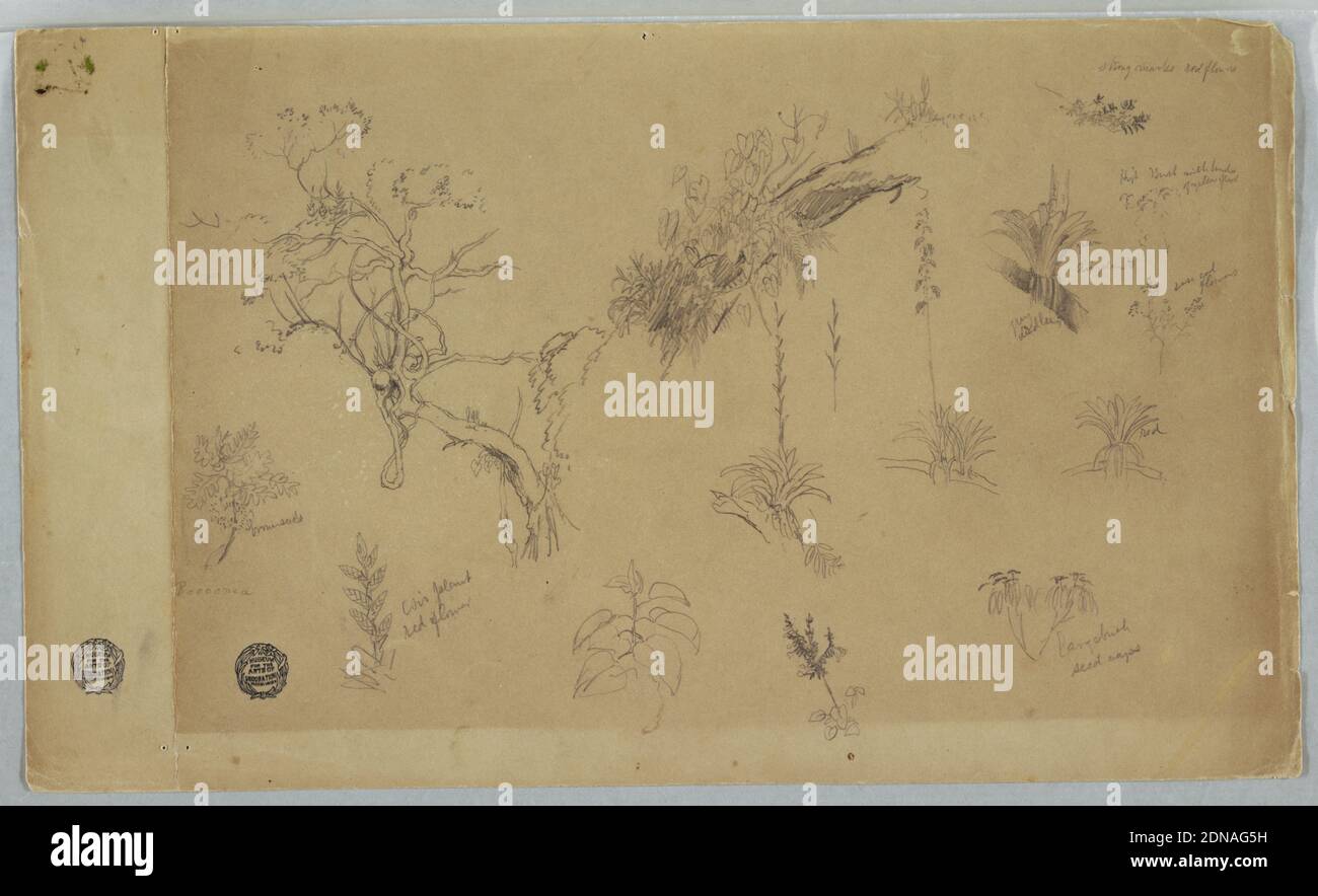 Piante di collina disegnio di carta immagini e fotografie stock ad alta ...