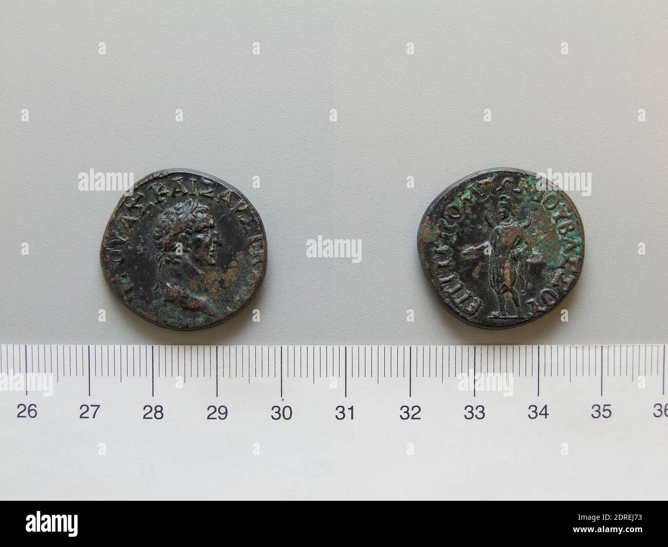 T pomponius bassus immagini e fotografie stock ad alta risoluzione - Alamy