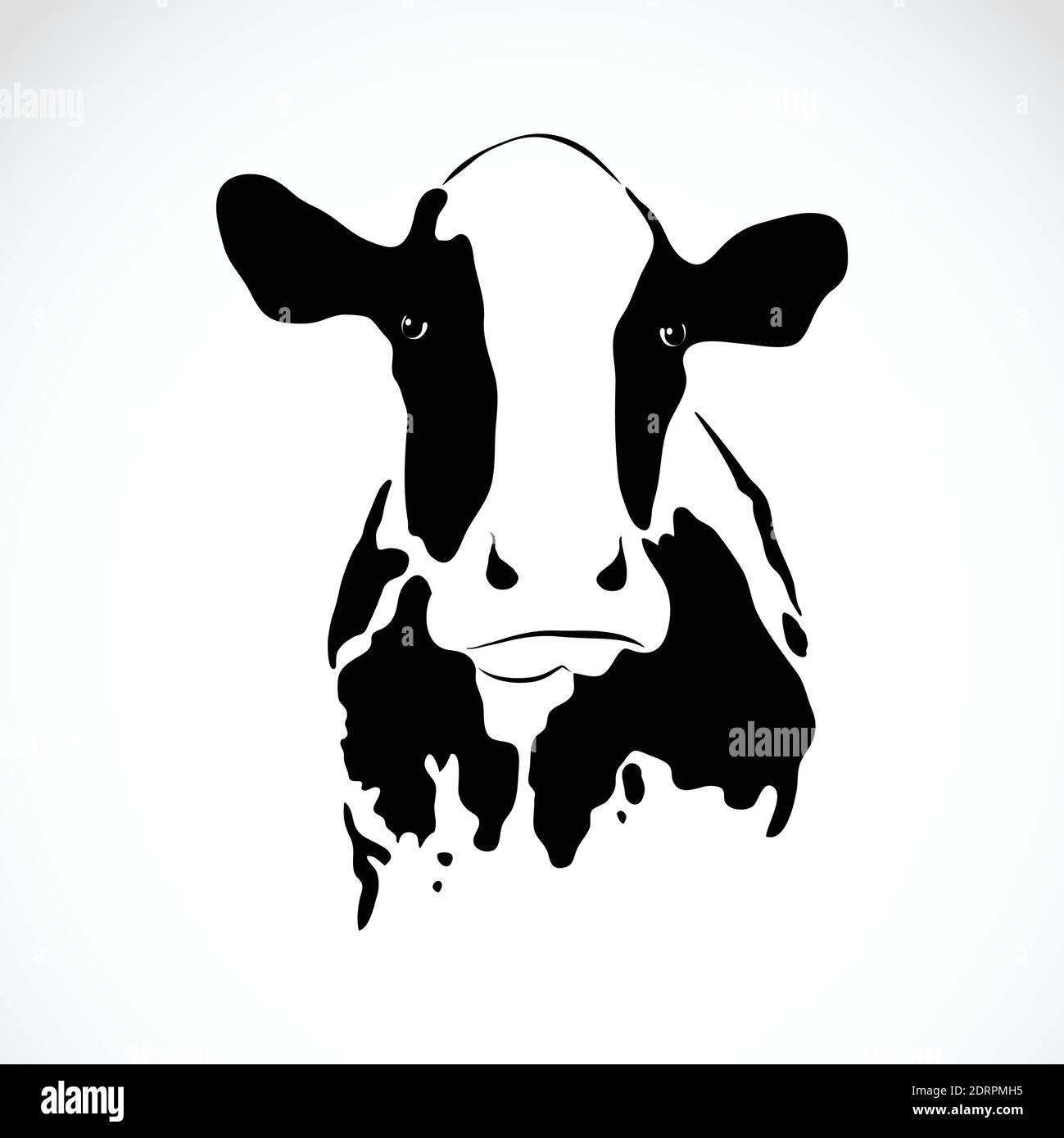 Muso di mucca Immagini Vettoriali Stock - Alamy