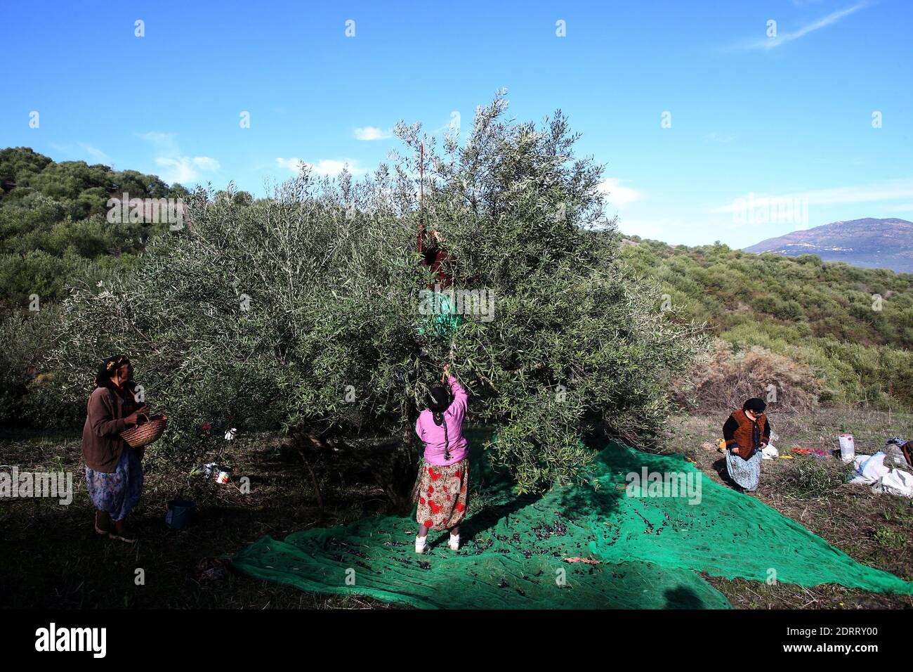 Donne Algerine Immagini e Fotos Stock - Alamy