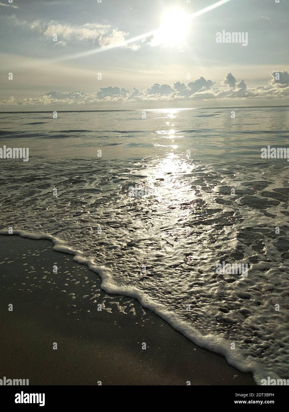 Spiaggia di fregene immagini e fotografie stock ad alta risoluzione - Alamy
