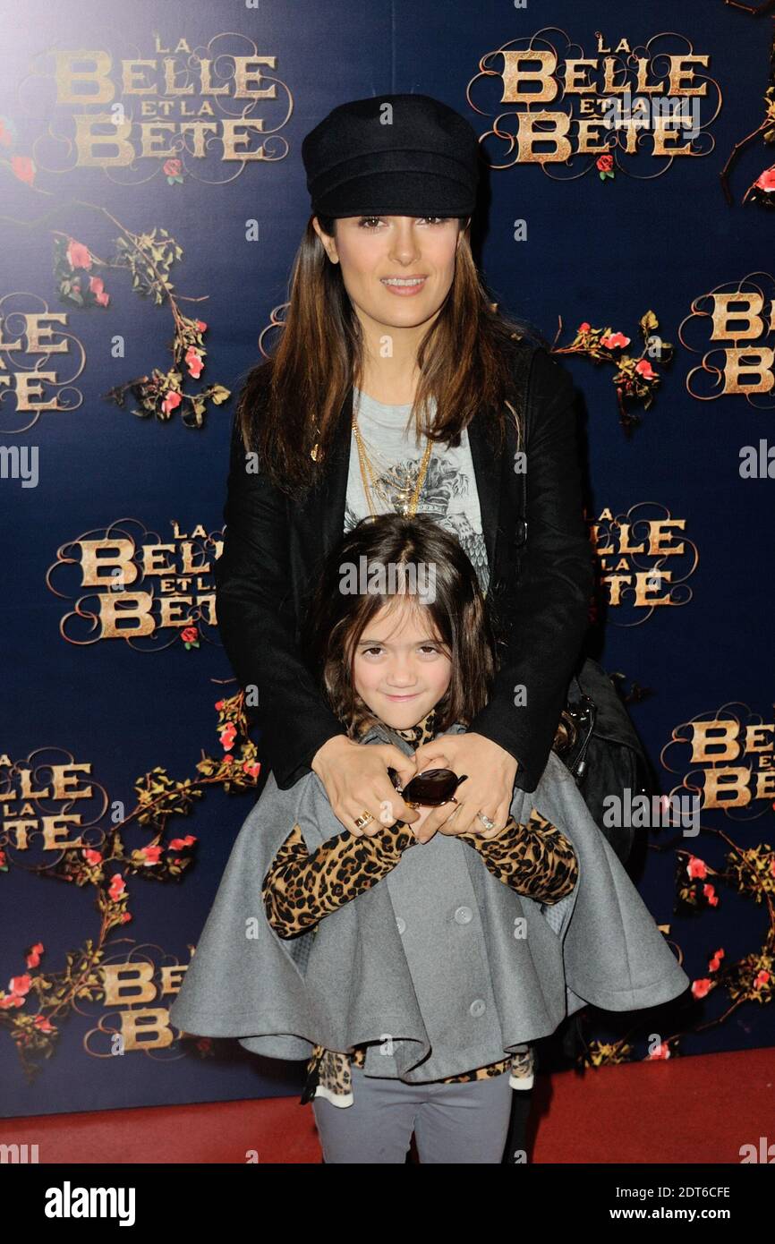 Valentina paloma immagini e fotografie stock ad alta risoluzione - Alamy