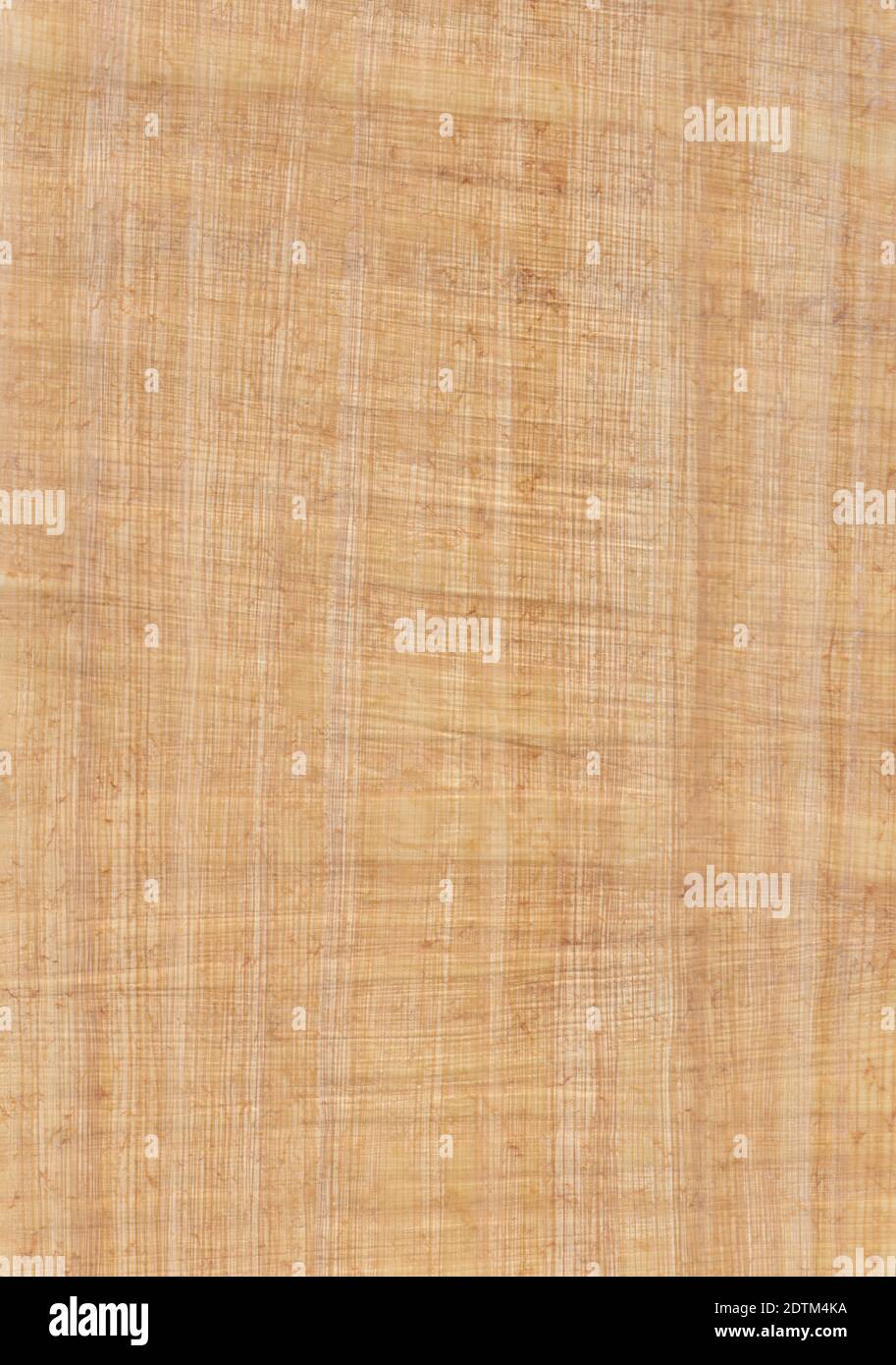 Papiro naturale dall'Egitto come sfondo. Carta tradizionale egiziana ...