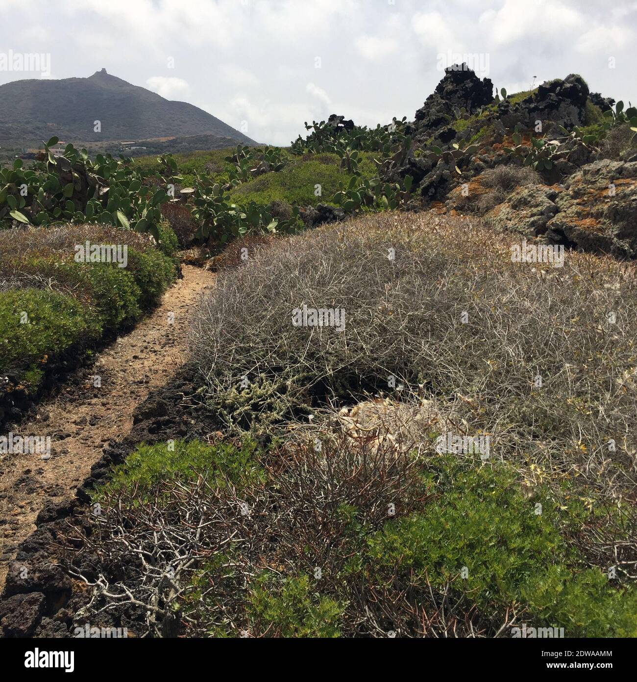 Isola di linosa immagini e fotografie stock ad alta risoluzione - Alamy
