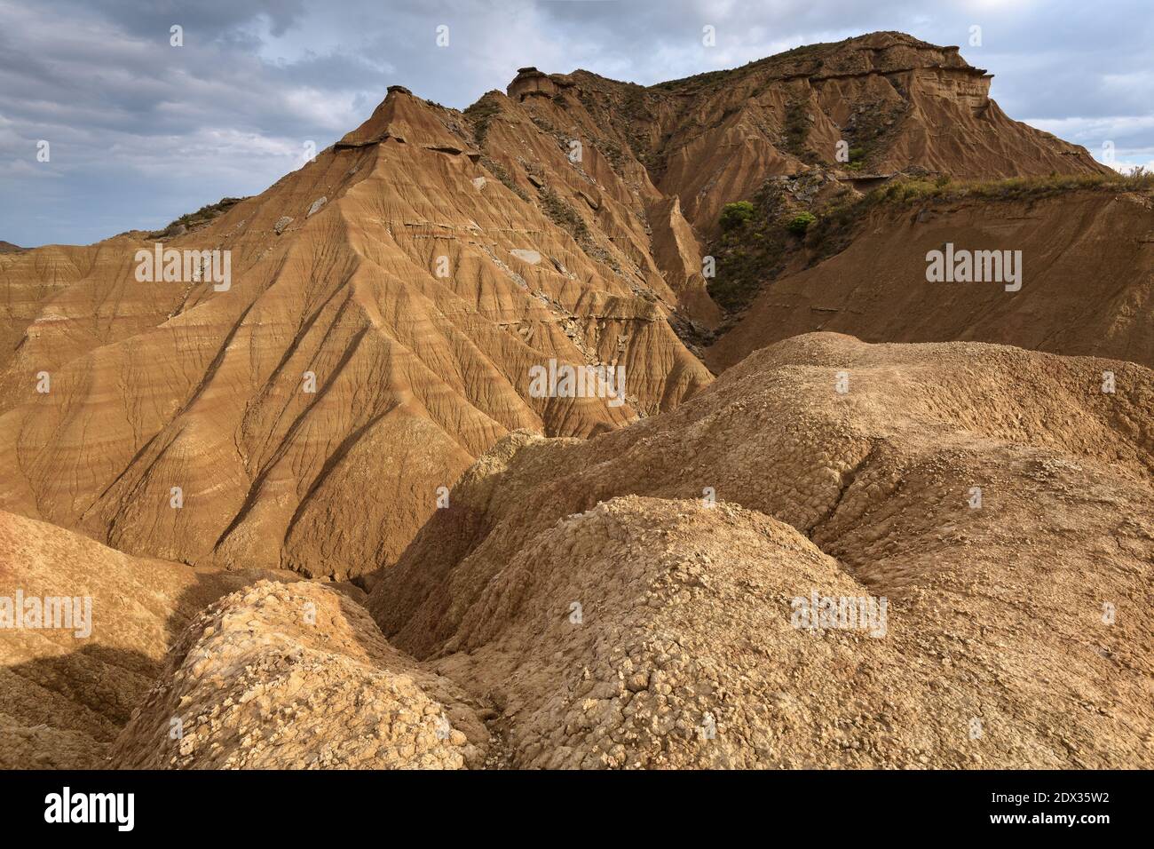 Reali di spagna immagini e fotografie stock ad alta risoluzione - Alamy