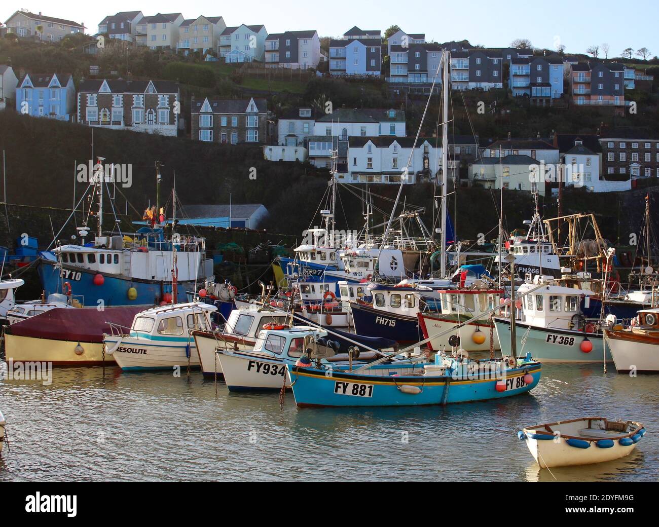 Porto di pesca di sgombro immagini e fotografie stock ad alta ...