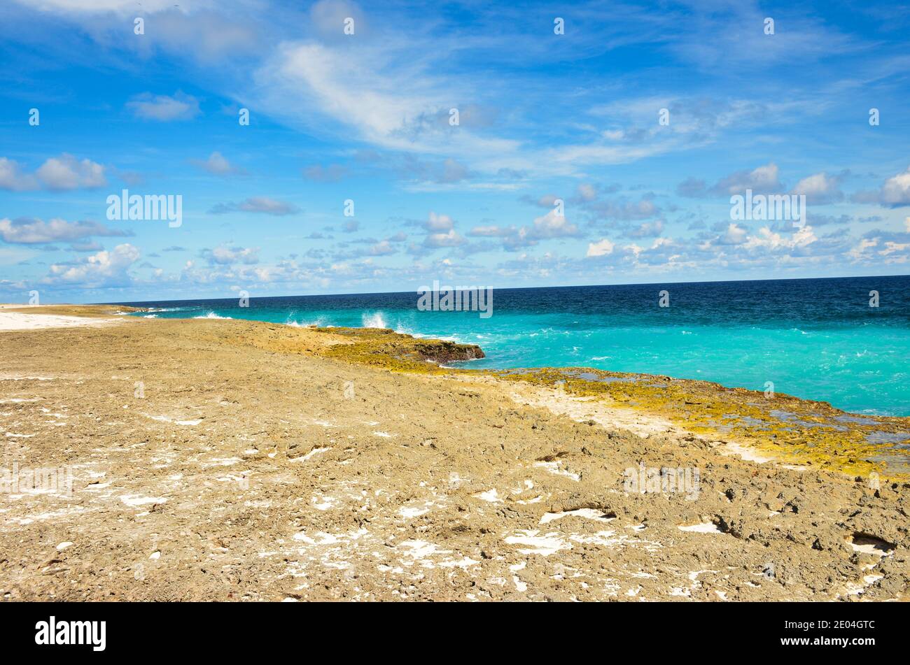 Sfondo dell'isola di bonaire immagini e fotografie stock ad alta ...