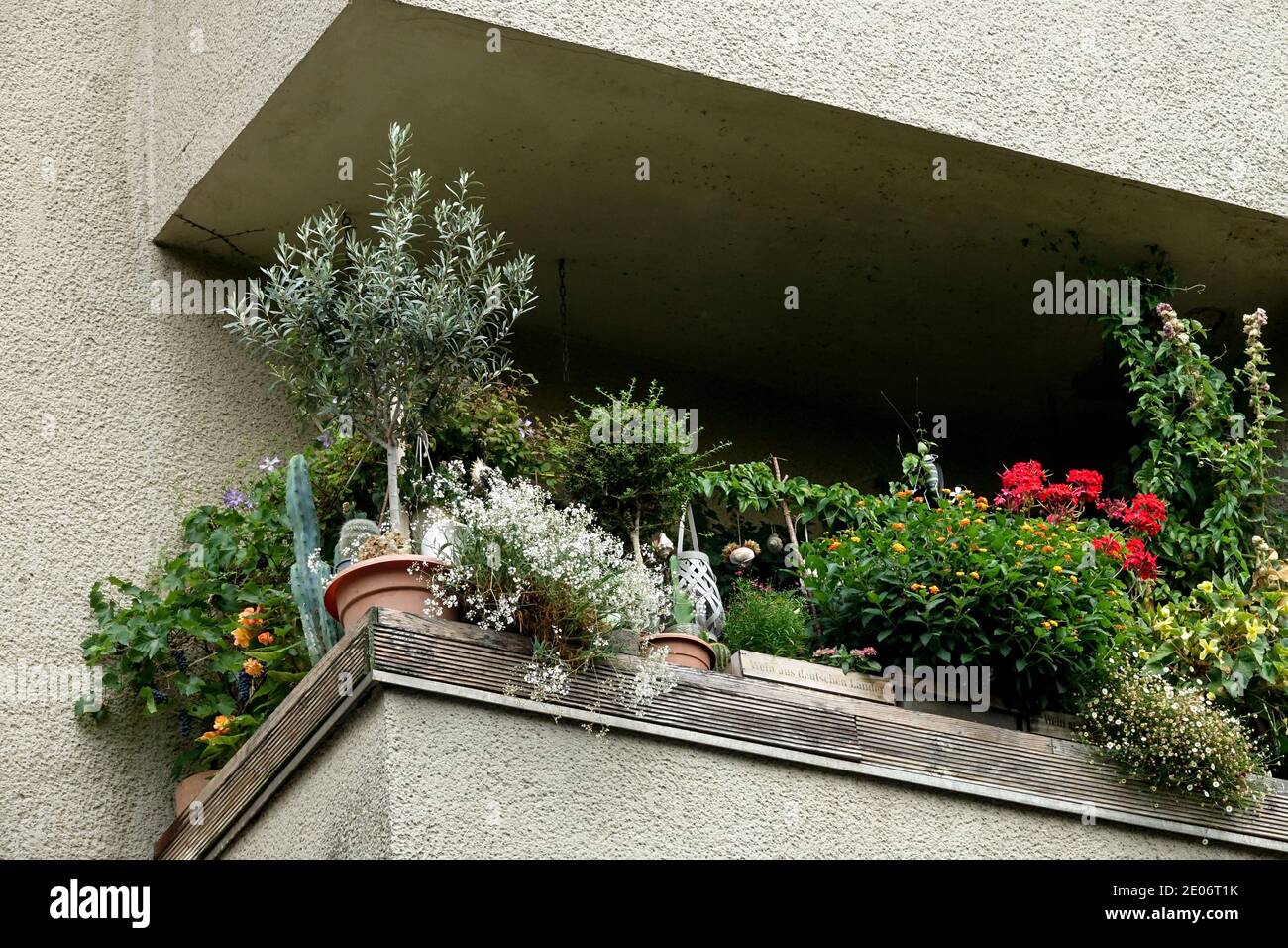 Piante da giardino balcone immagini e fotografie stock ad alta ...