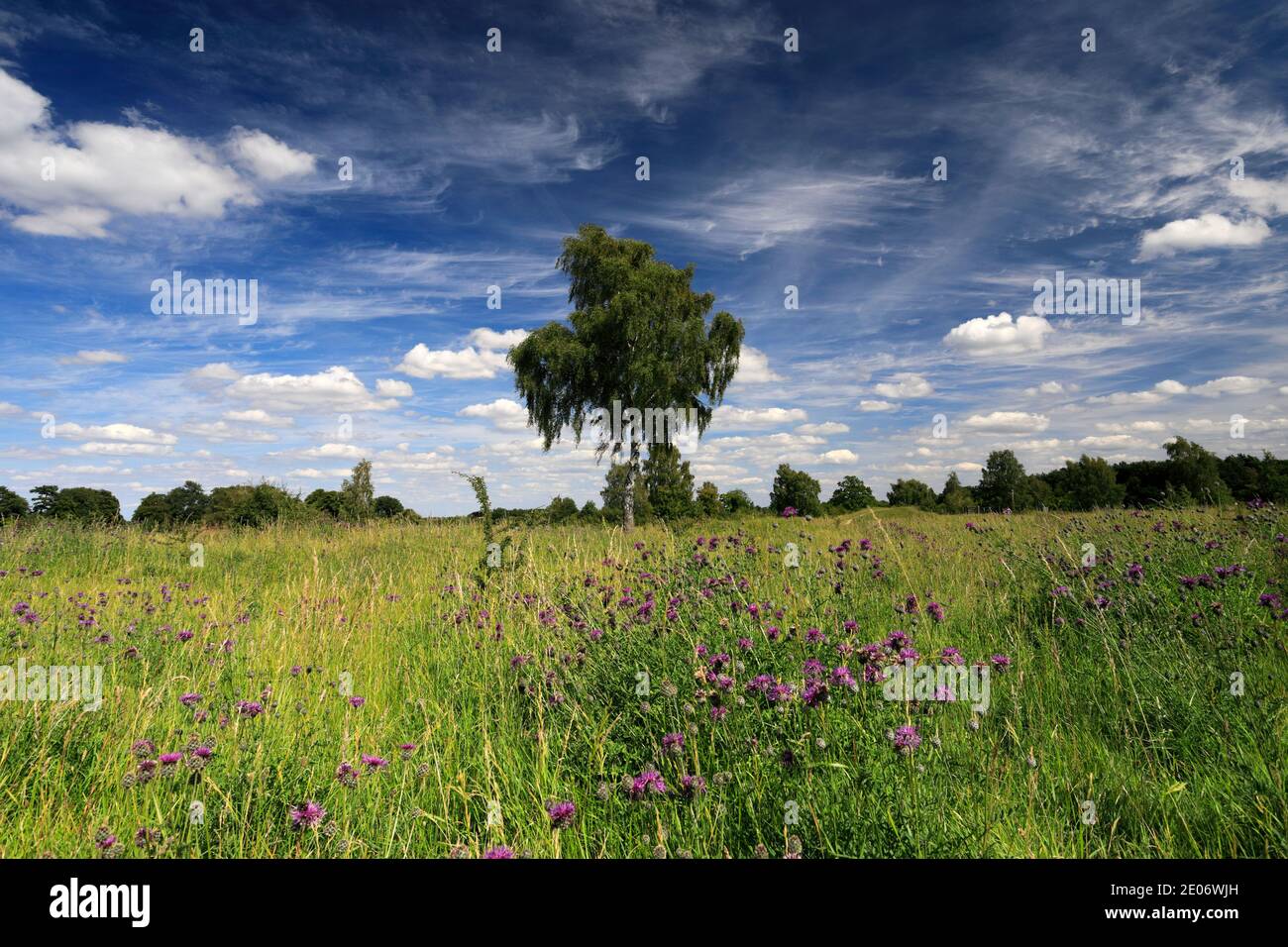 Barnack hills and holes immagini e fotografie stock ad alta risoluzione ...