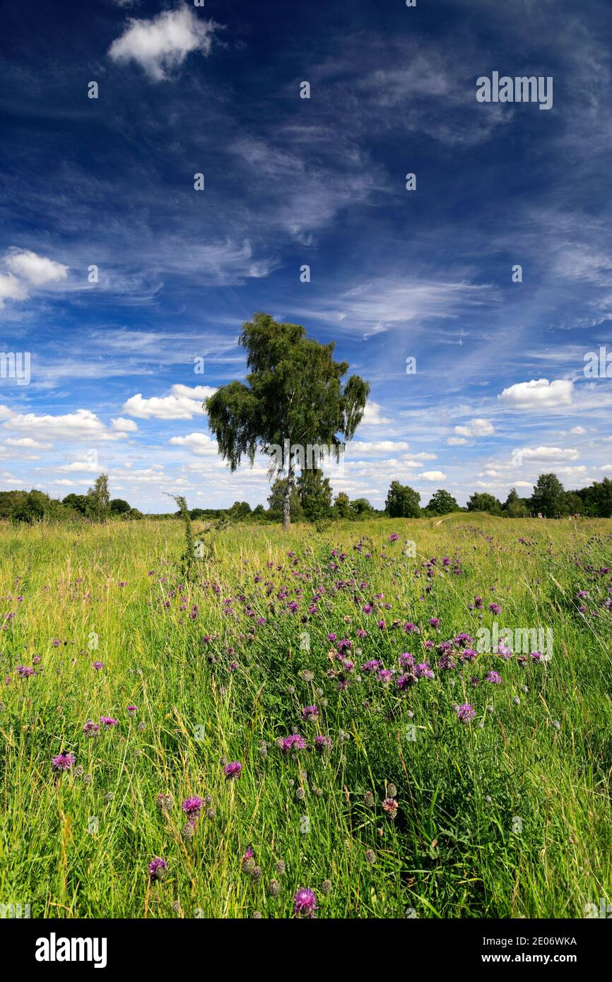 Barnack hills and holes immagini e fotografie stock ad alta risoluzione ...
