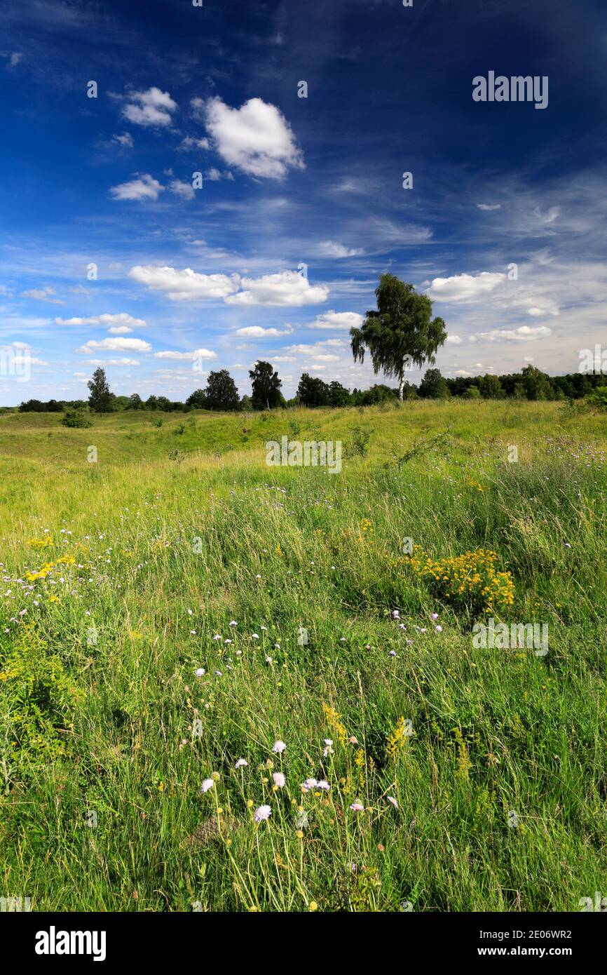 Barnack hills and holes immagini e fotografie stock ad alta risoluzione ...