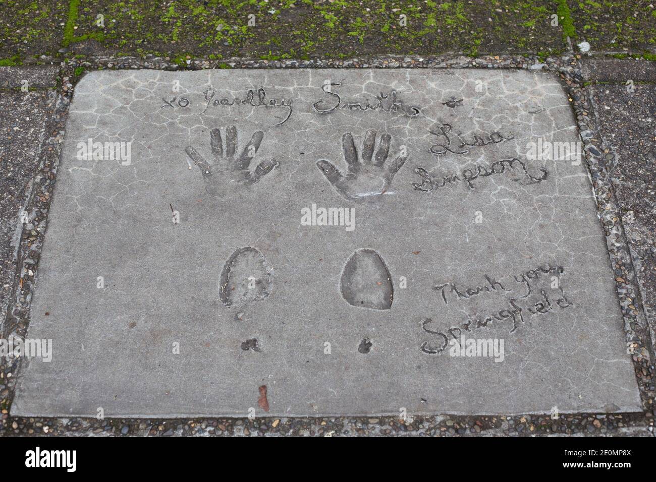 Stampe a mano e stampe in cemento, di Yeardley Smith la voce di Lisa ...