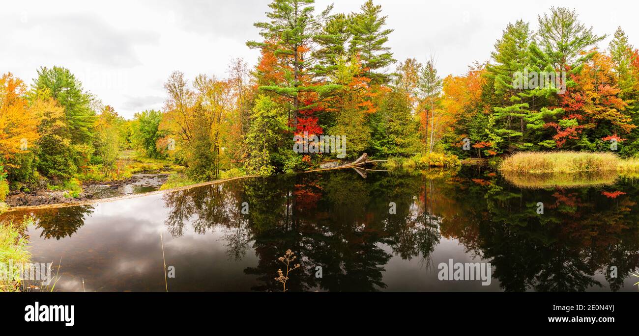 Lennox and addington county immagini e fotografie stock ad alta ...