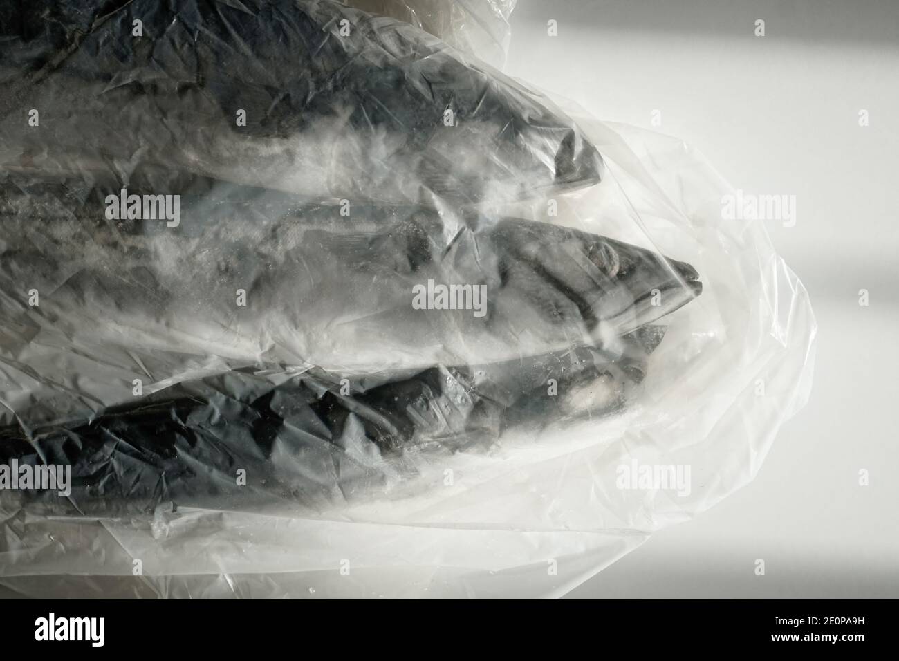 Pesci mangiano plastica immagini e fotografie stock ad alta risoluzione ...