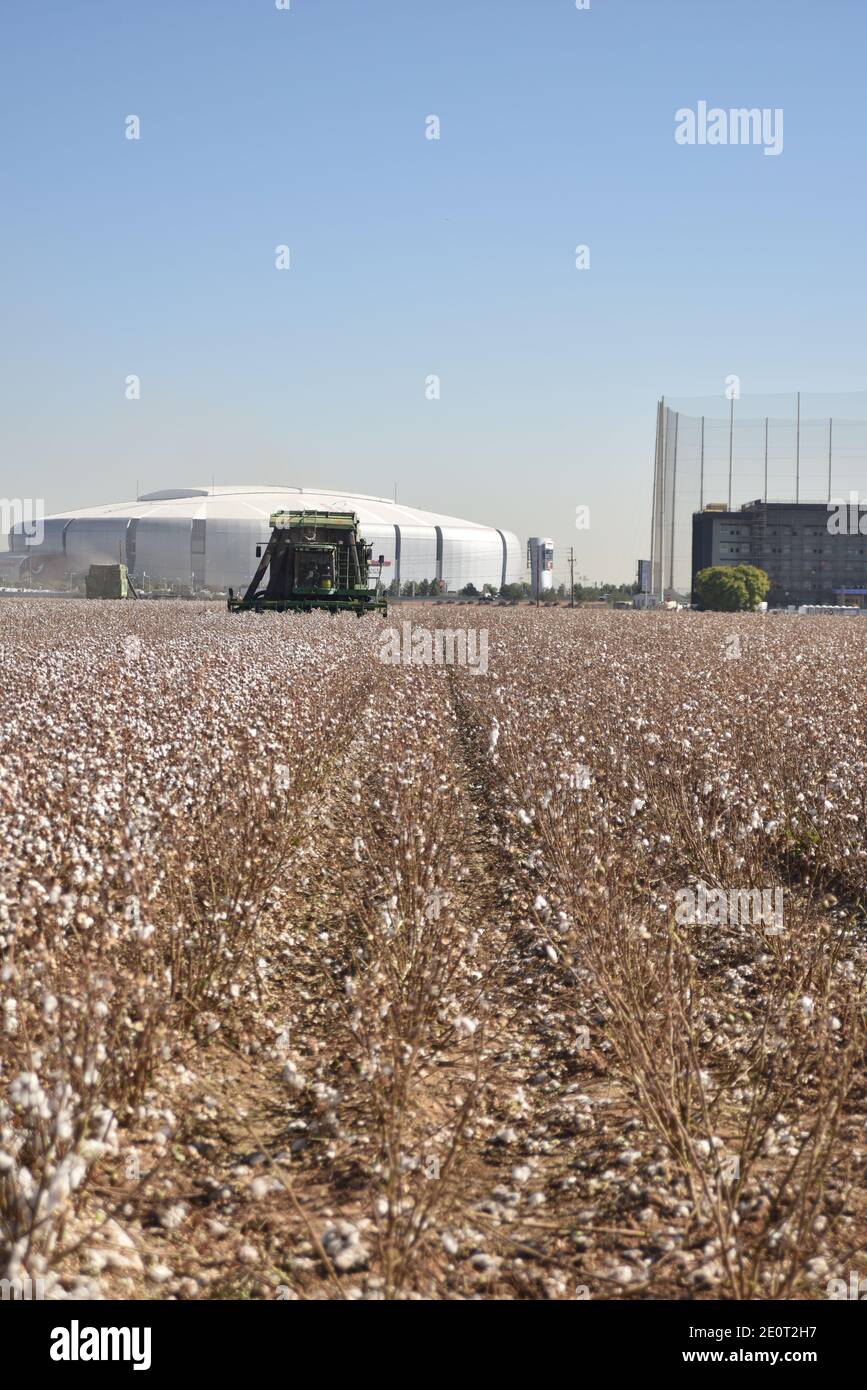 Raccoglitrice di cotone john deere 9986 immagini e fotografie stock ad ...