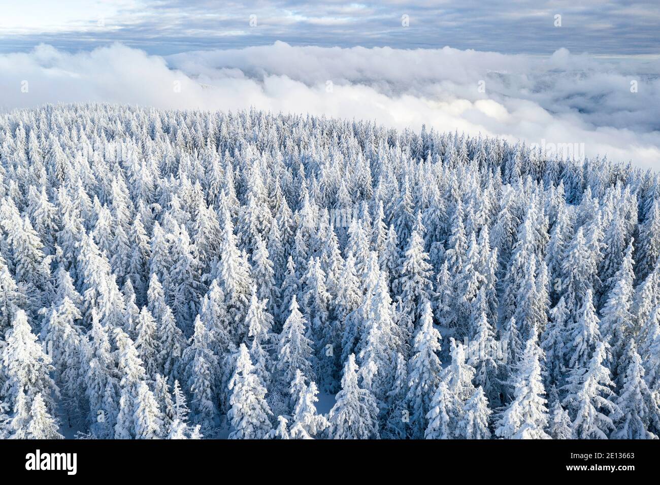 Paesaggio Montano Con Rami Di Albero Immagini e Fotos Stock - Alamy