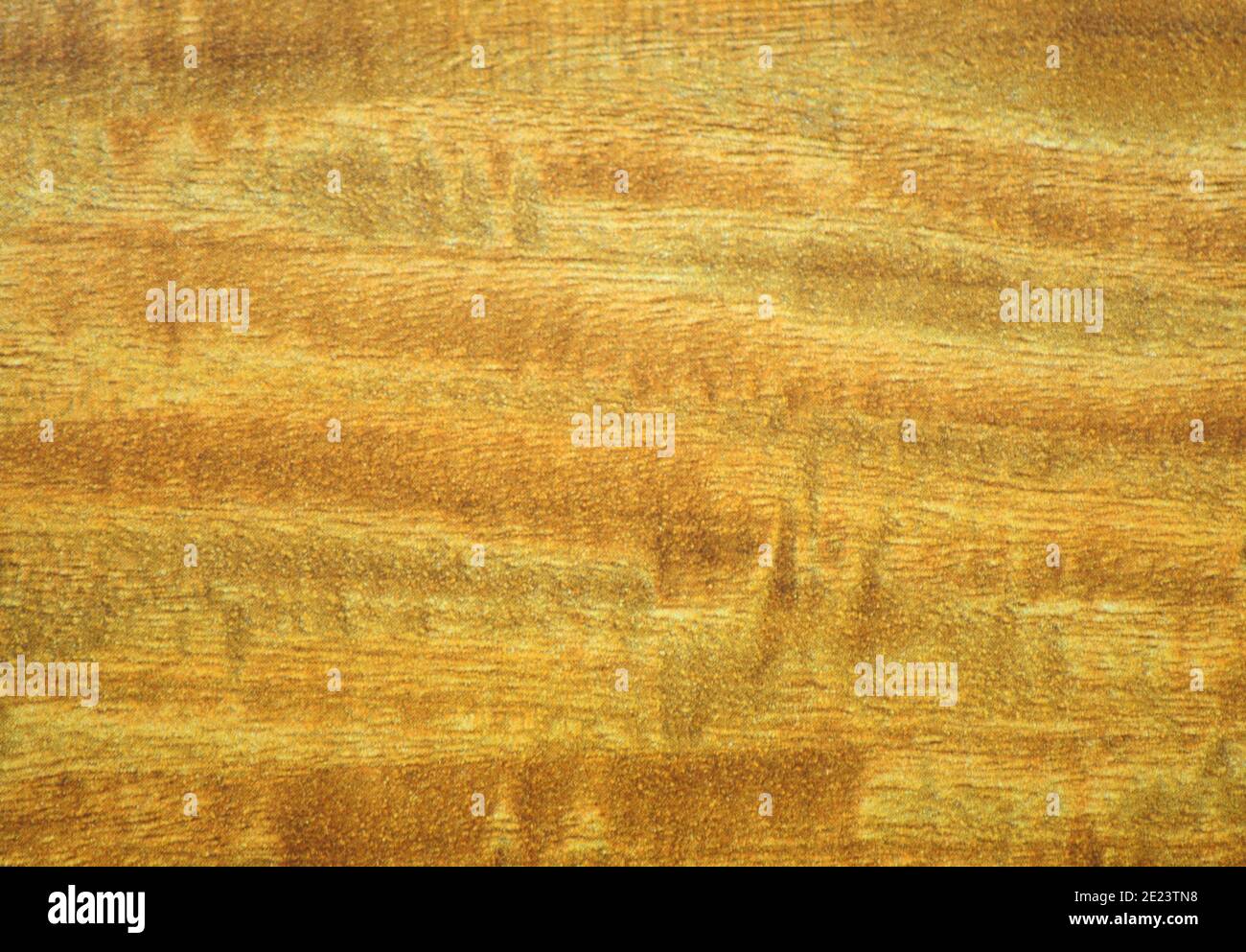 Vecchio legno compensato di betulla, superficie piana in primo piano ...