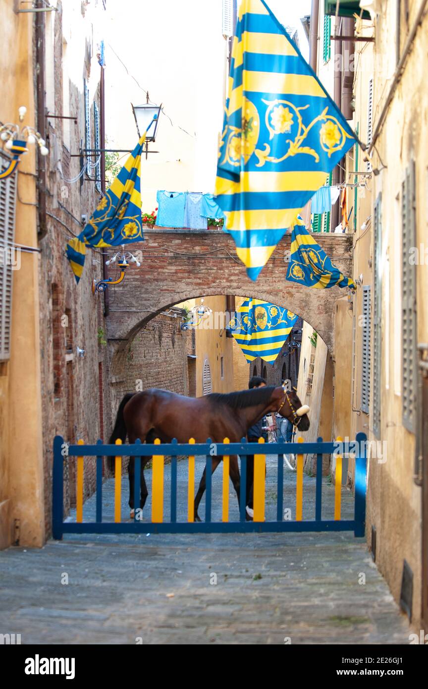 Contrada del torre palio di siena immagini e fotografie stock ad alta ...