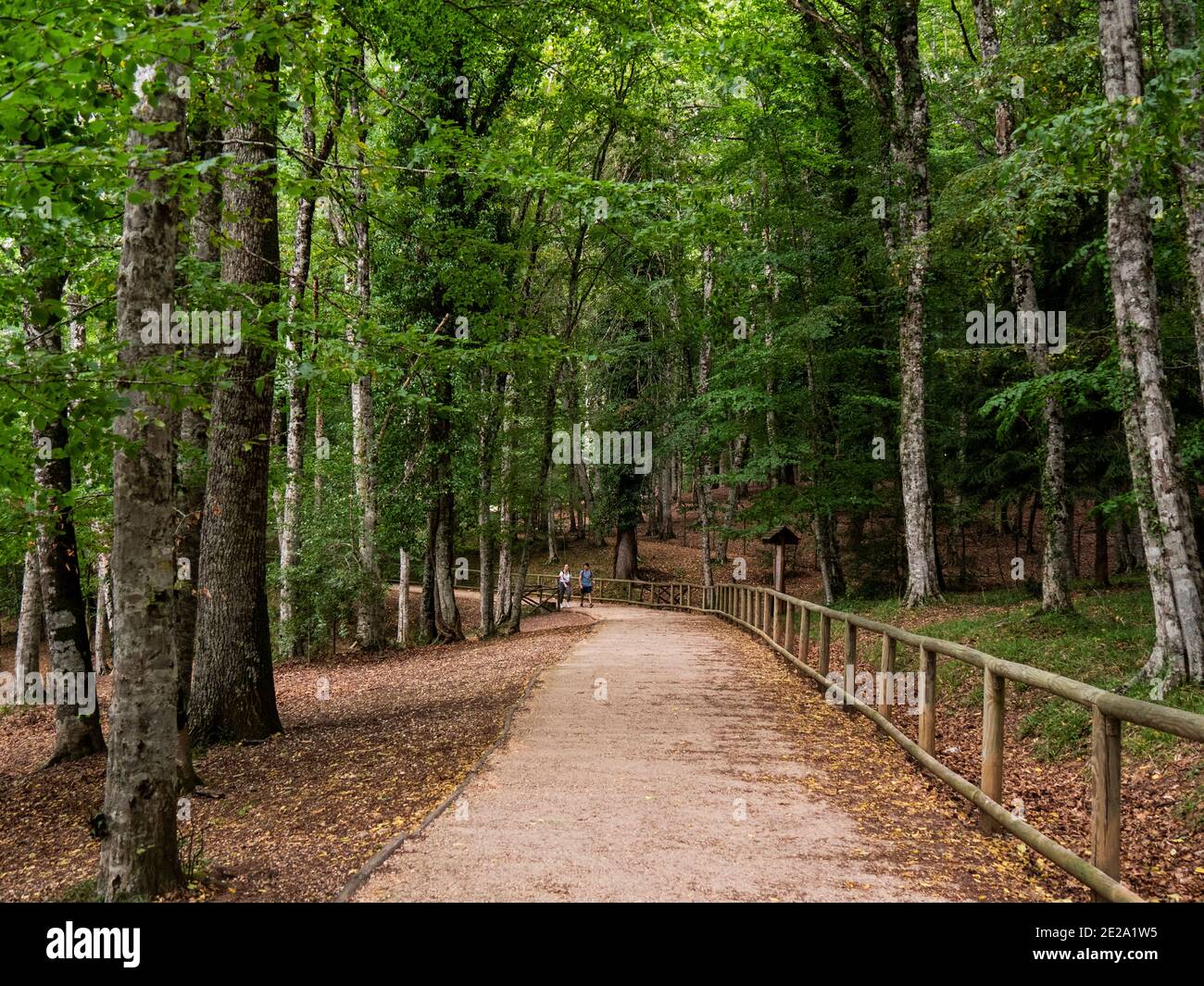 Gargano Puglia Puglia Italia Immagini e Fotos Stock - Alamy