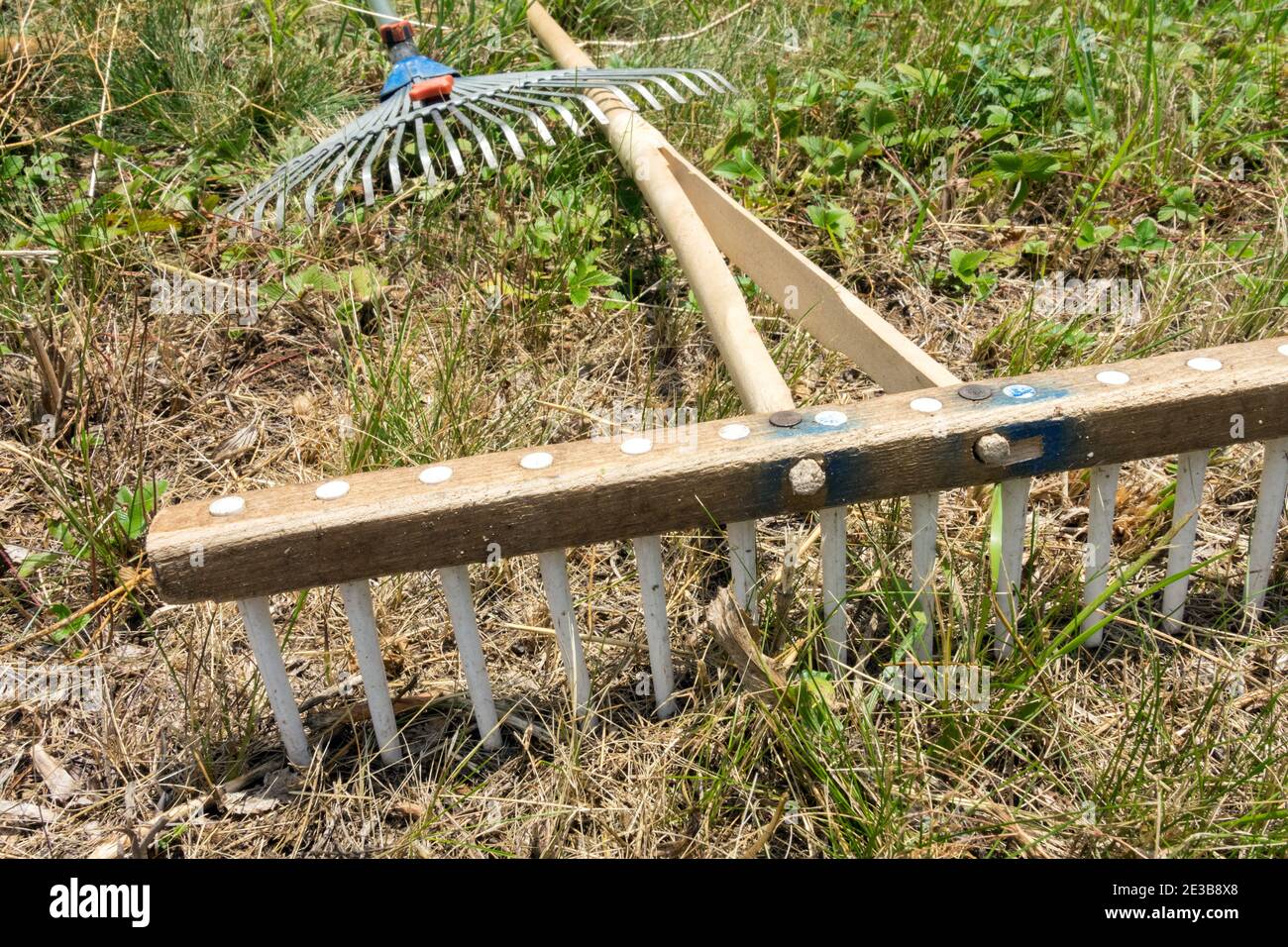 Rastrello giardino immagini e fotografie stock ad alta risoluzione - Alamy