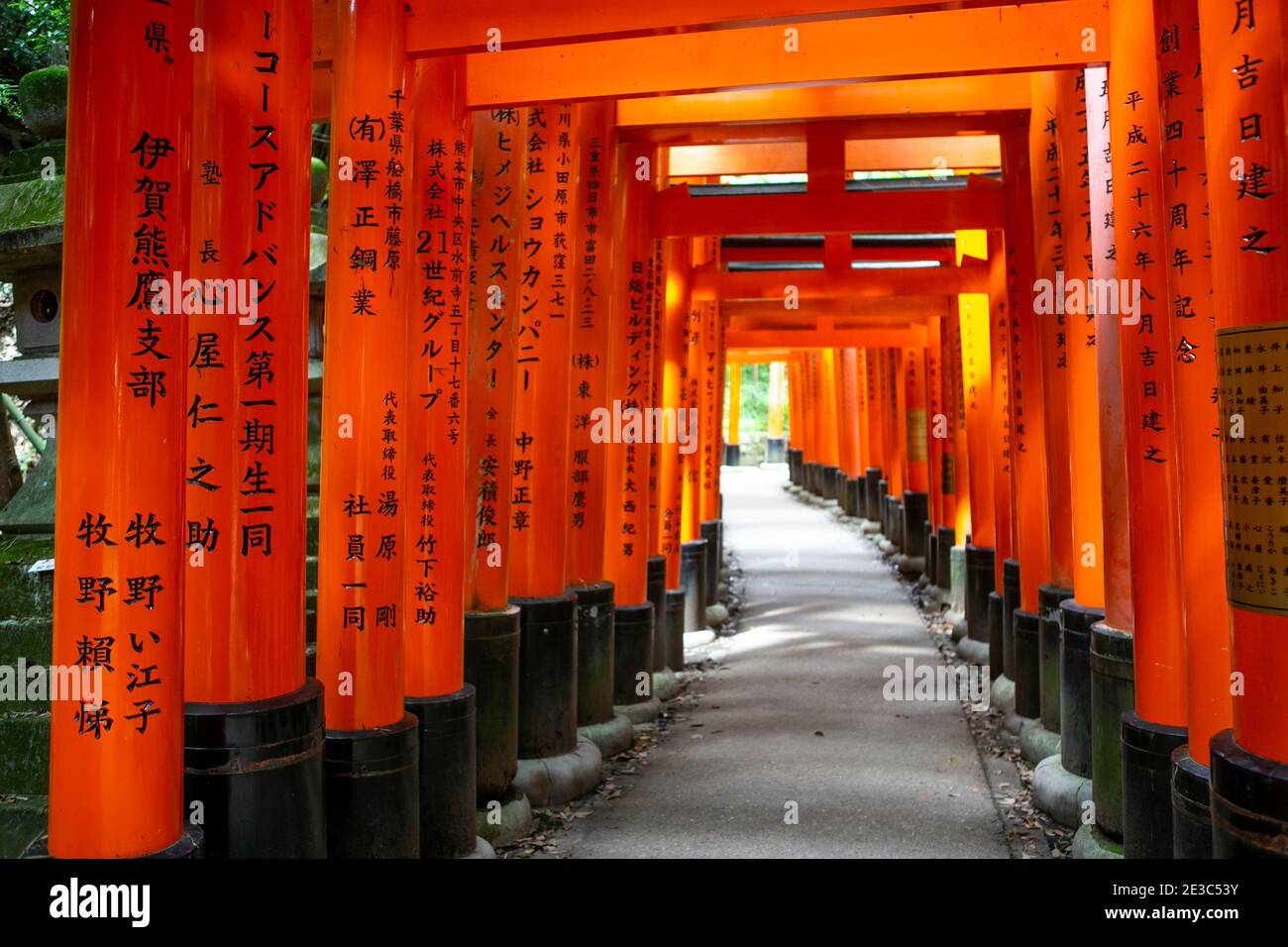 Passerelle in stile legno immagini e fotografie stock ad alta ...