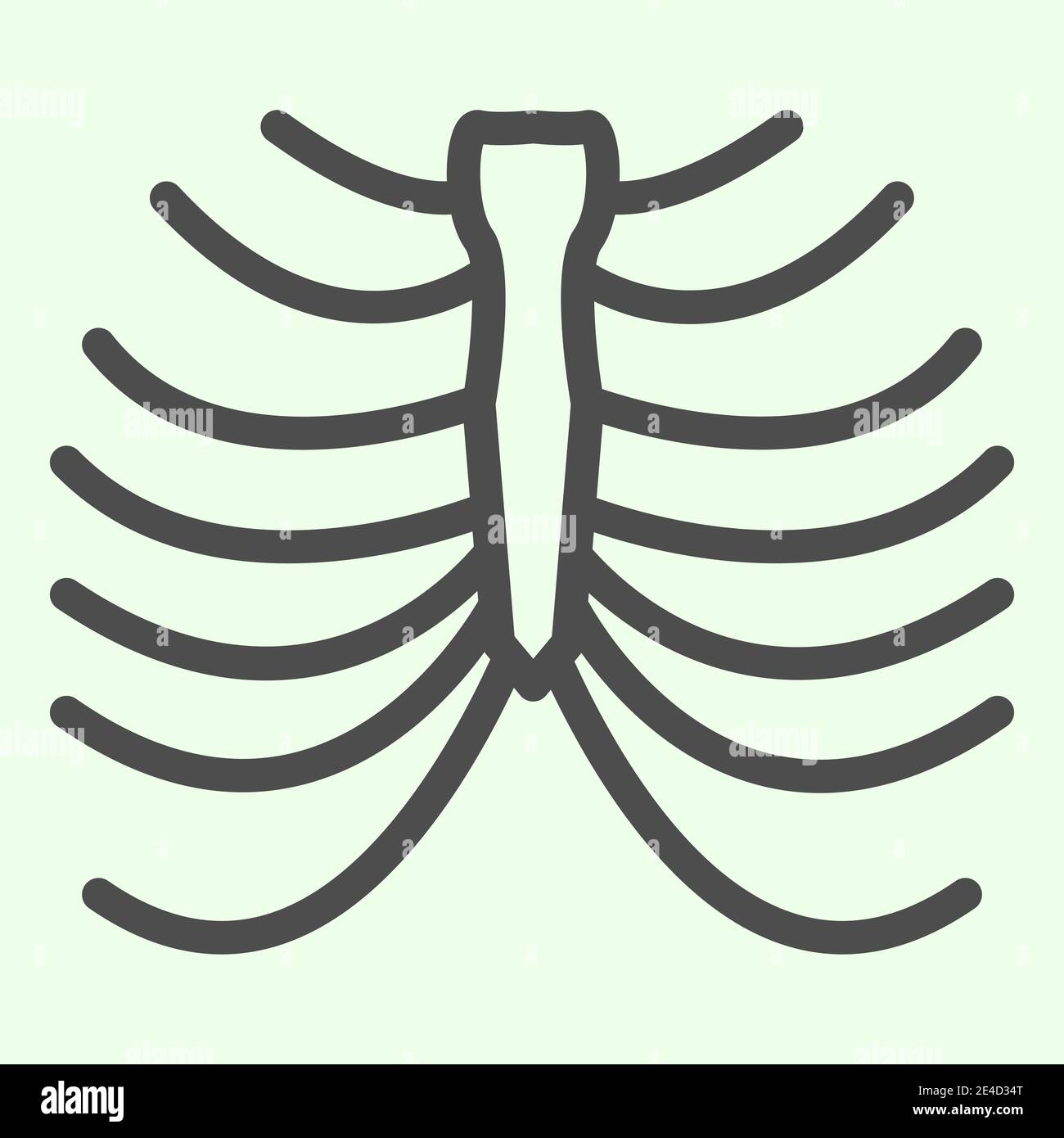 Organs of the thorax Immagini Vettoriali Stock - Alamy