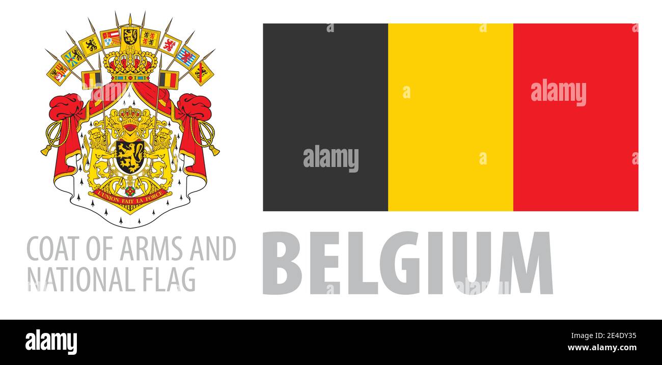 Insieme vettoriale dello stemma e della bandiera nazionale Del Belgio ...