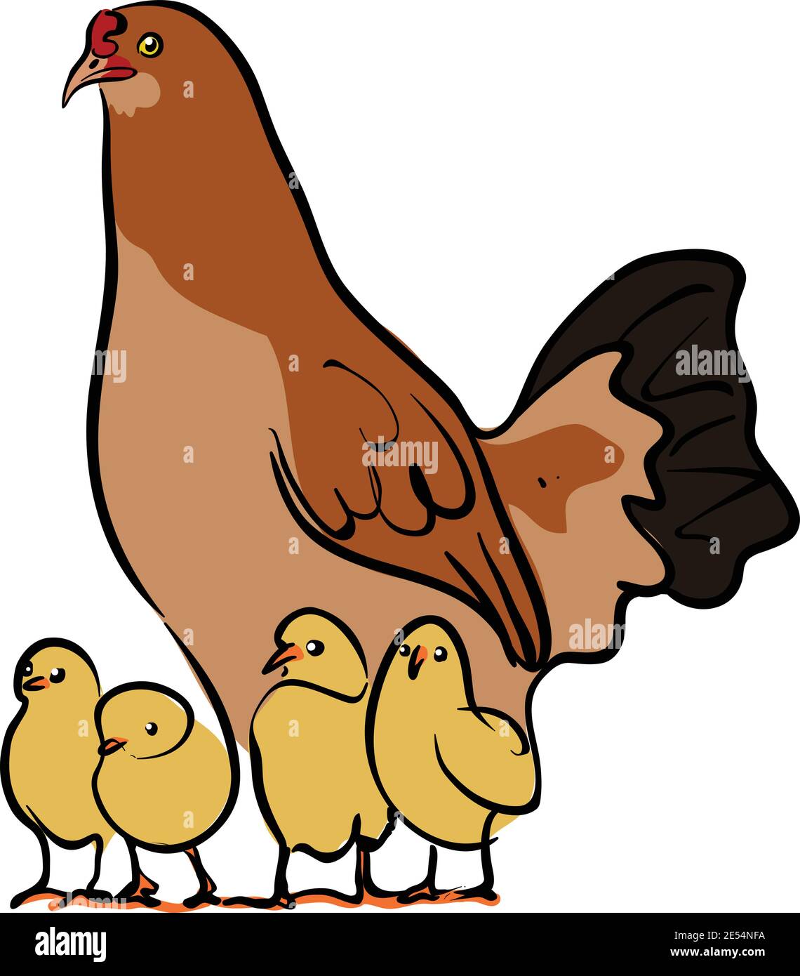 Gallina pulcini Immagini Vettoriali Stock - Alamy