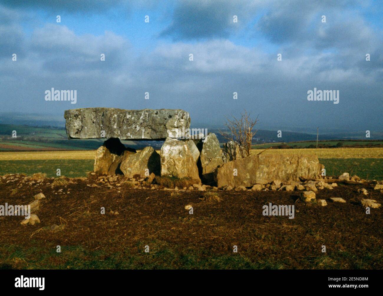 Pawton farm immagini e fotografie stock ad alta risoluzione - Alamy