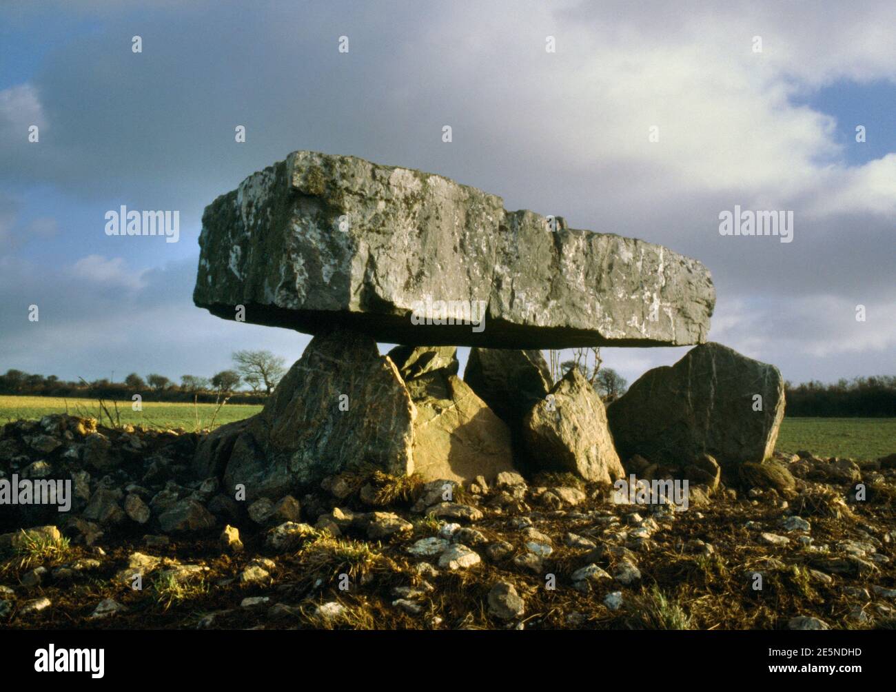 Pawton farm immagini e fotografie stock ad alta risoluzione - Alamy