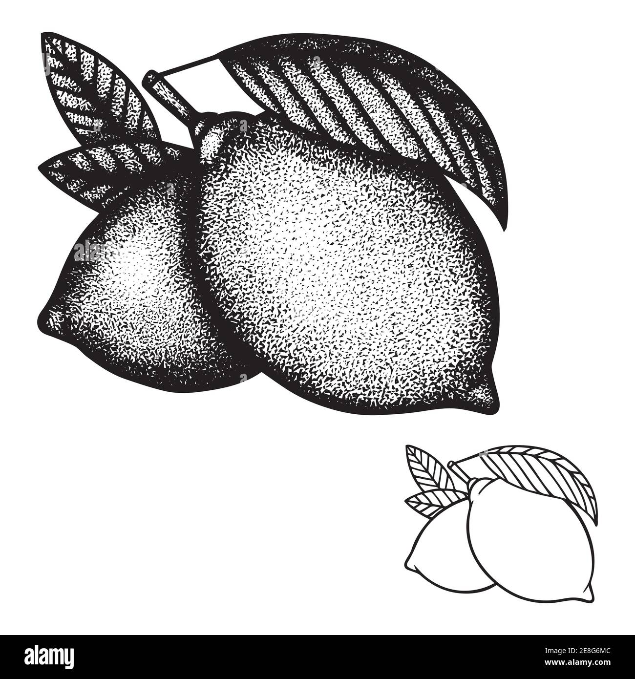 Disegno disegno incisione Immagini Vettoriali Stock - Alamy