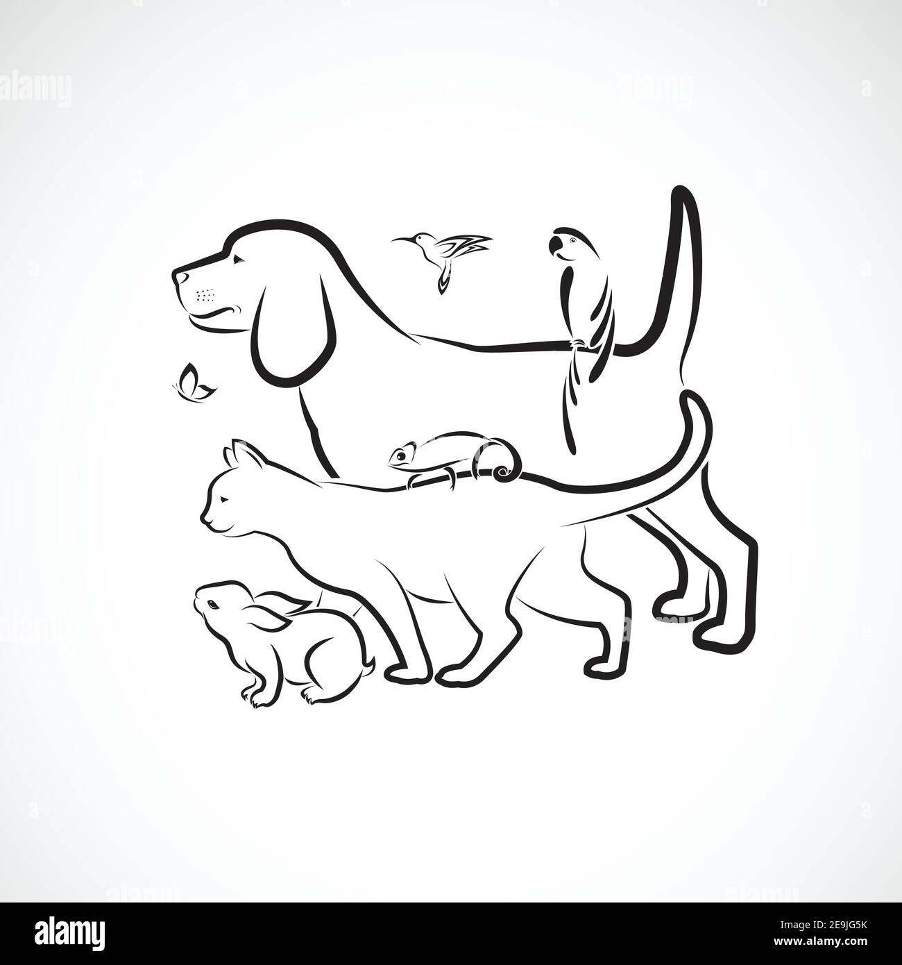 Gruppo vettoriale di animali domestici - cane, gatto, pappagallo ...