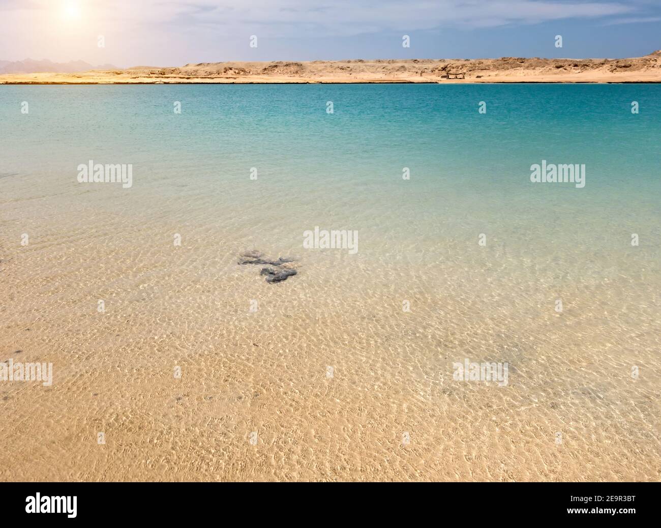 Lago magico. Gli ecosistemi nascosti della baia Ras Mohammed National ...