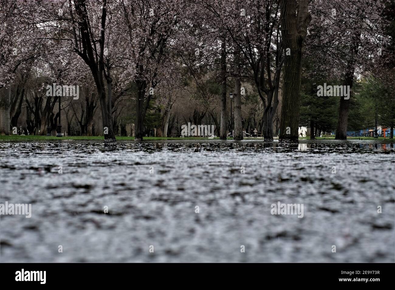 Siyah beyaz immagini e fotografie stock ad alta risoluzione - Alamy