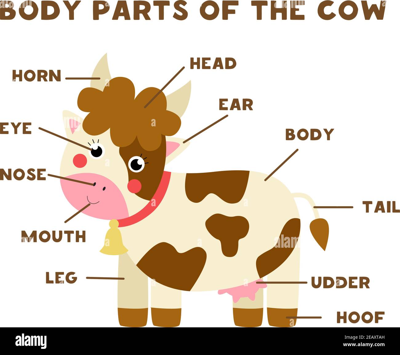 Parti del corpo della carina mucca fattoria cartoon. Anatomia degli ...