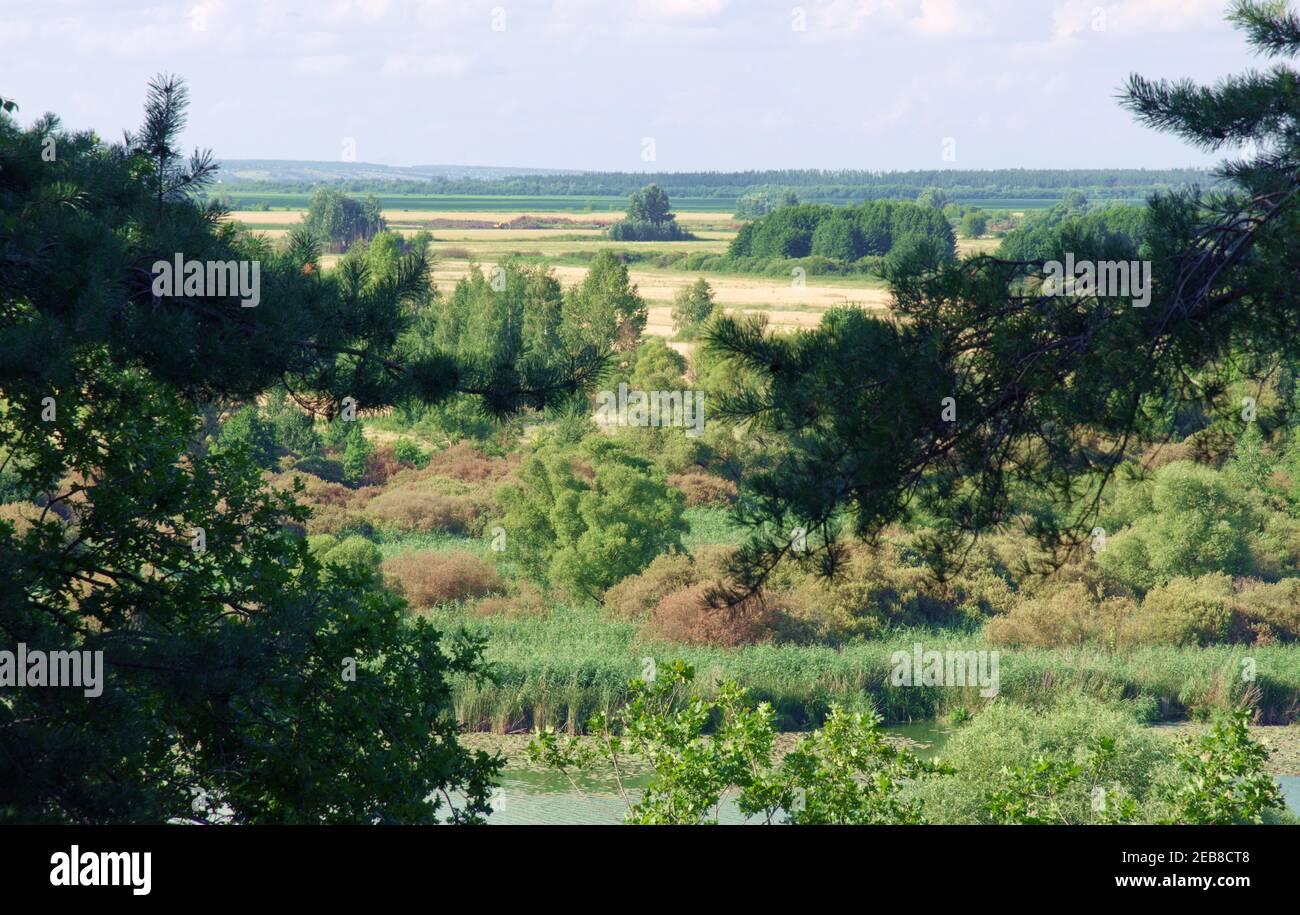 Arboles de clima continentale humedo immagini e fotografie stock ad ...