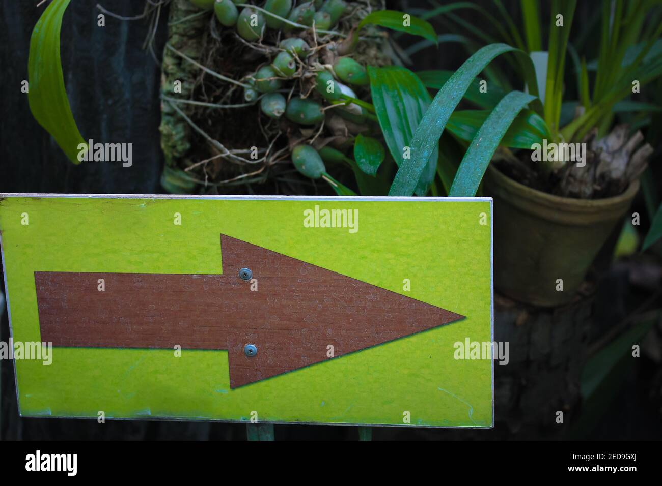 Cartello verde vuoto con freccia direzionale in legno su sfondo verde ...